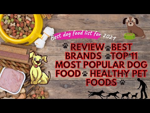 Best dog food list for 2021| Review | Best Brands | Top 11 Most Popular Dog Food | Healthy Pet Foods