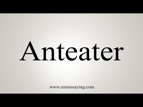 How To Say Anteater