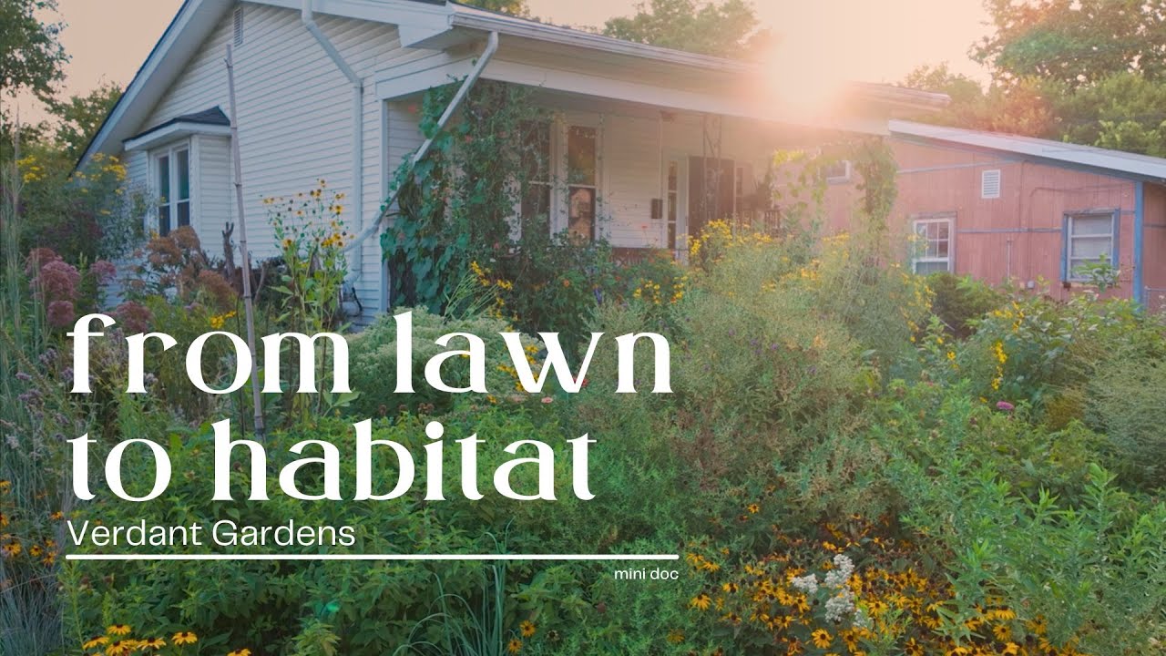 She Built a Backyard Native Plant Nursery | Verdant Gardens
