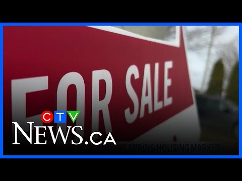 Tariffs, the election, and the spring housing market