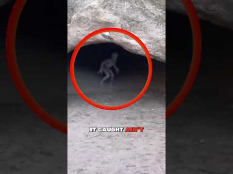 The Cryptids Caught on Camera 👀#shorts #shortvideo #creature #mystery