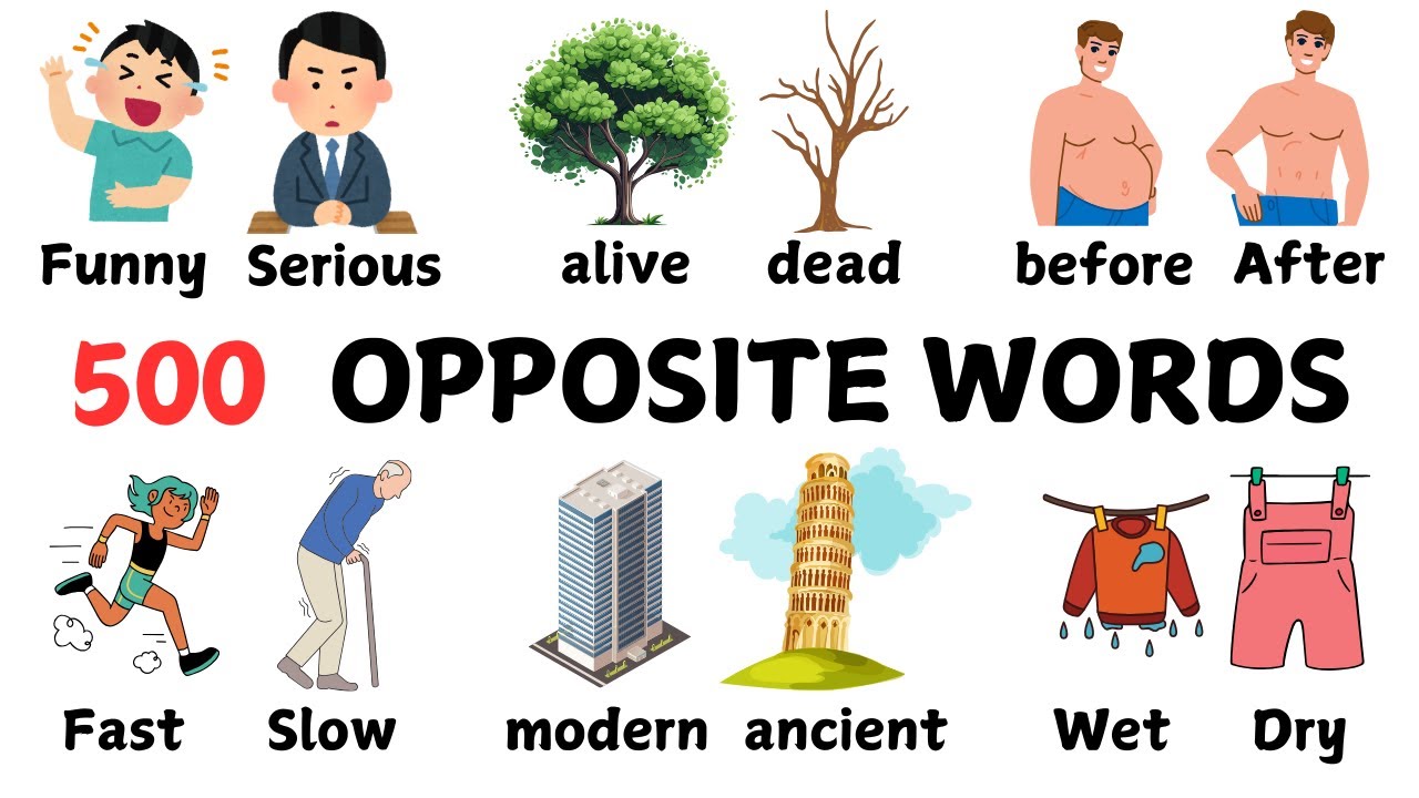 Mastering English: 500 Opposite Words for Beginners | Galaxy.ai