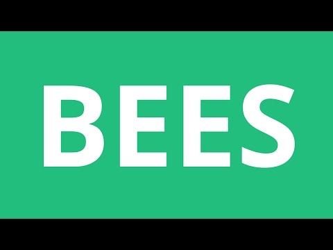 How To Pronounce Bees - Pronunciation Academy