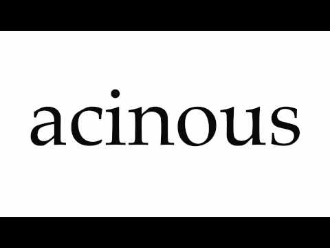 How to Pronounce acinous