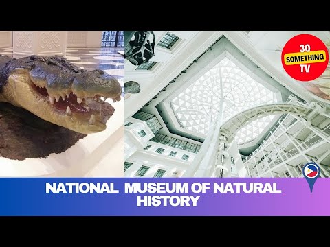 A MUST Visit Museum in the PHILIPPINES ~ NATIONAL MUSEUM OF NATURAL HISTORY 2023 | FREE ADMISSION