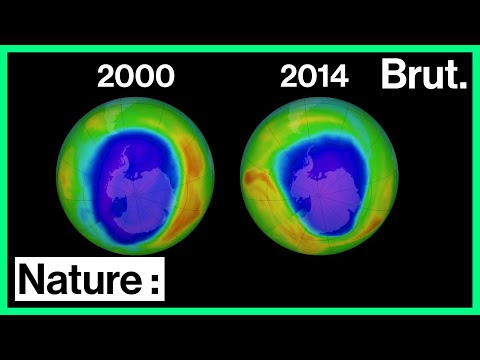 Couche d'ozone : Histoire d'une success-story environnementale