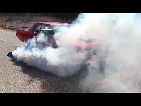 Scamp Intro Final