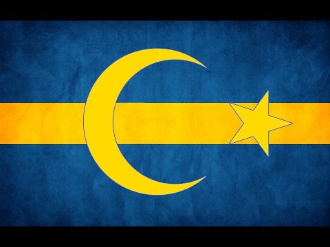VIDEO: De islamisering van Zweden | E.J. Bron