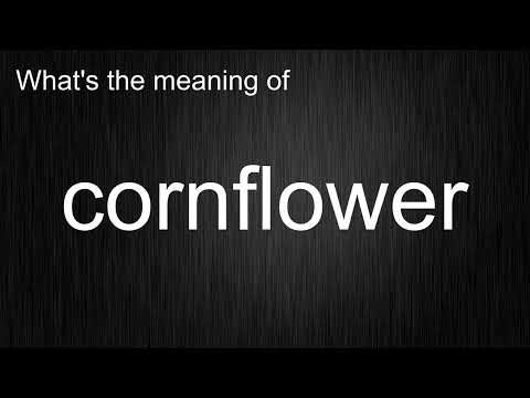 What's the meaning of "cornflower", How to pronounce cornflower?