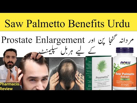 Saw Palmetto Hair loss Results and Prostate Enlargement | Saw palmetto Review in Urdu Hindi