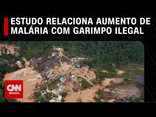 Aumento de casos de malária tem correlação direta com o garimpo ilegal ...