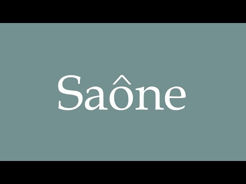 How to Pronounce ''Sa么ne'' Correctly in French