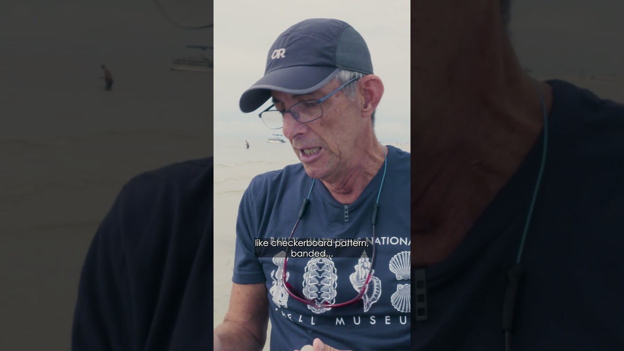 Shells with Doc Leal | Coquina