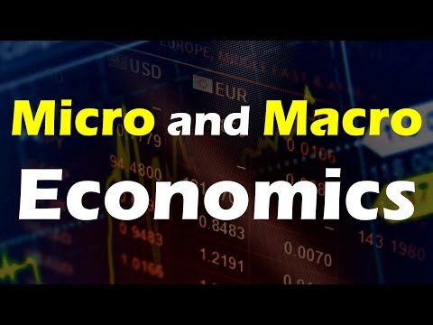 Micro and Macro Economics Explained - Concept and Key Differences