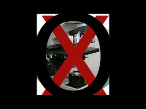 Worksafe BC Denies Claimants Due Process Part 5 No Oversight