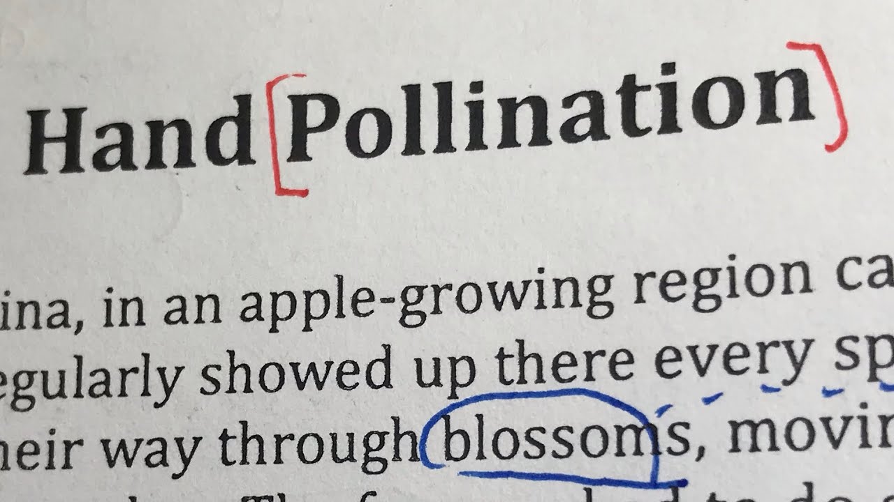 DSE English Paper 1 Reading 2018 B2 足本題解