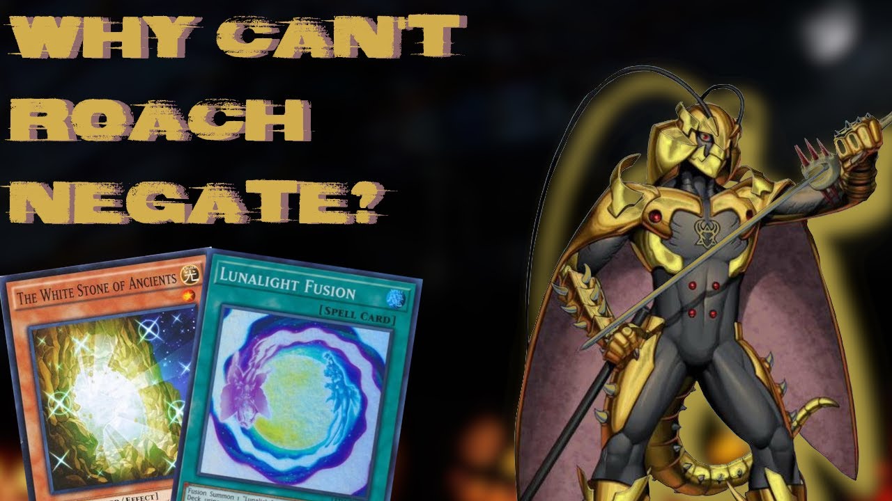 Explaining & Understanding Steelswarm Roach | Yu-Gi-Oh! Duel Links