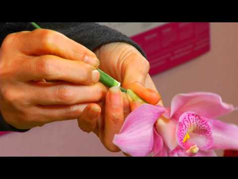 How To Make A Corsage | Watanabe Floral - Honolulu, Hawaii Florist Flower Shop
