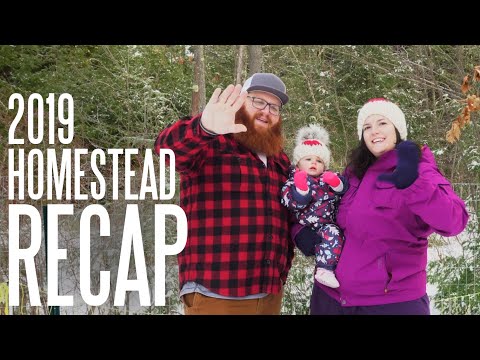 Our Homestead Year in Review: 2019 Edition