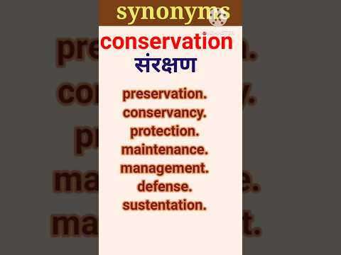 English vocabulary synonym for the word conservation