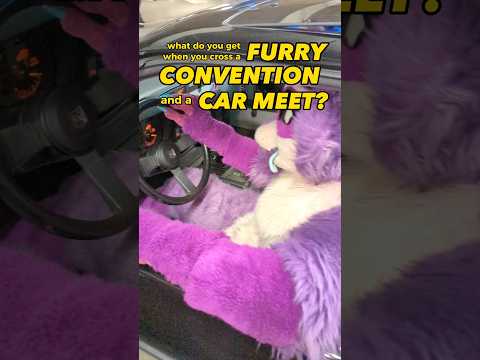 what d'you get when you cross a furry convention and a car meet? #vancoufur #furry #furries #fursuit