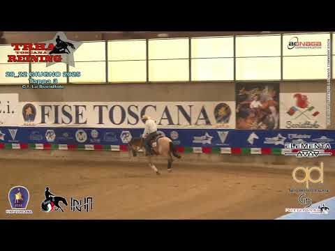 3 tappa TRHA 2025 - NAPOLITANO ANDREA & KN BLUE DIAMOND owner CASTRUCCI ANDREA score 70