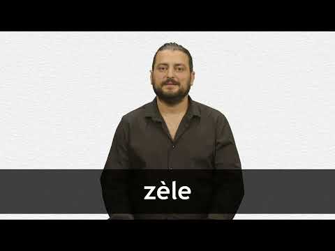 English Translation of “ZÈLE” | Collins French-English Dictionary