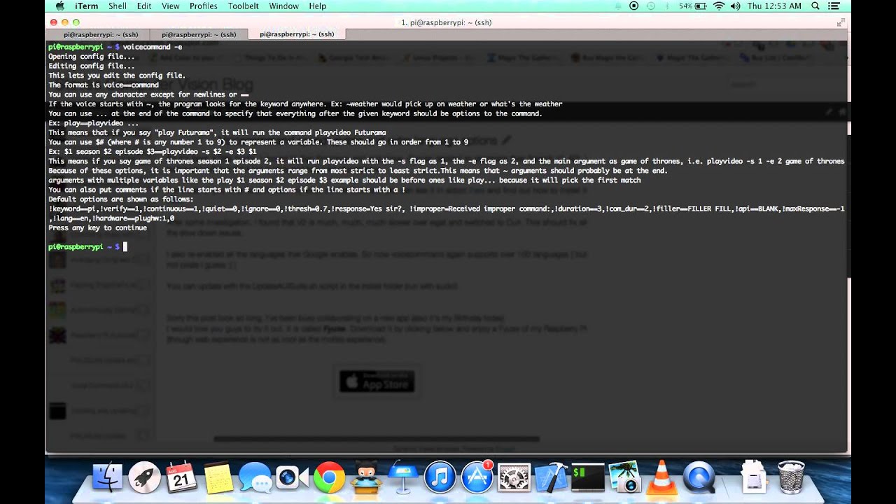 Quick voicecommand explaination