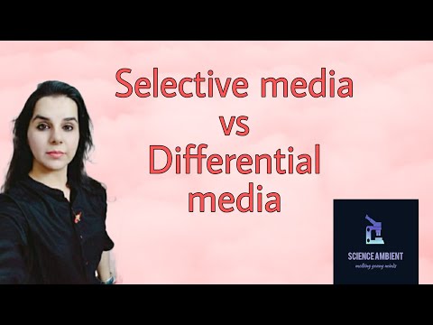 Selective media microbiology l differential media l culture media