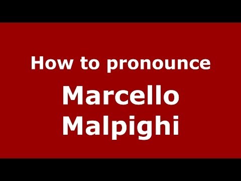 How to pronounce Marcello Malpighi (Italian/Italy) - PronounceNames.com