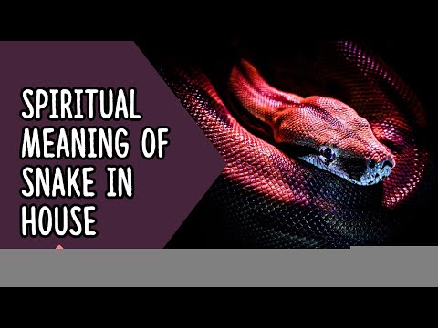 Spiritual Meaning Of Snake In House
