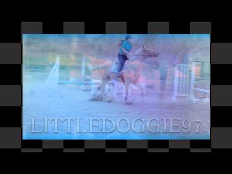 Sony Vegas and Macromedia Fireworks (Photoshop) ideas?