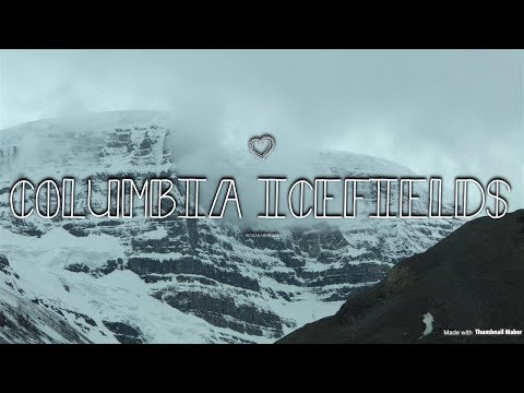 Columbia Icefield | Continental Divide | Jasper National Park