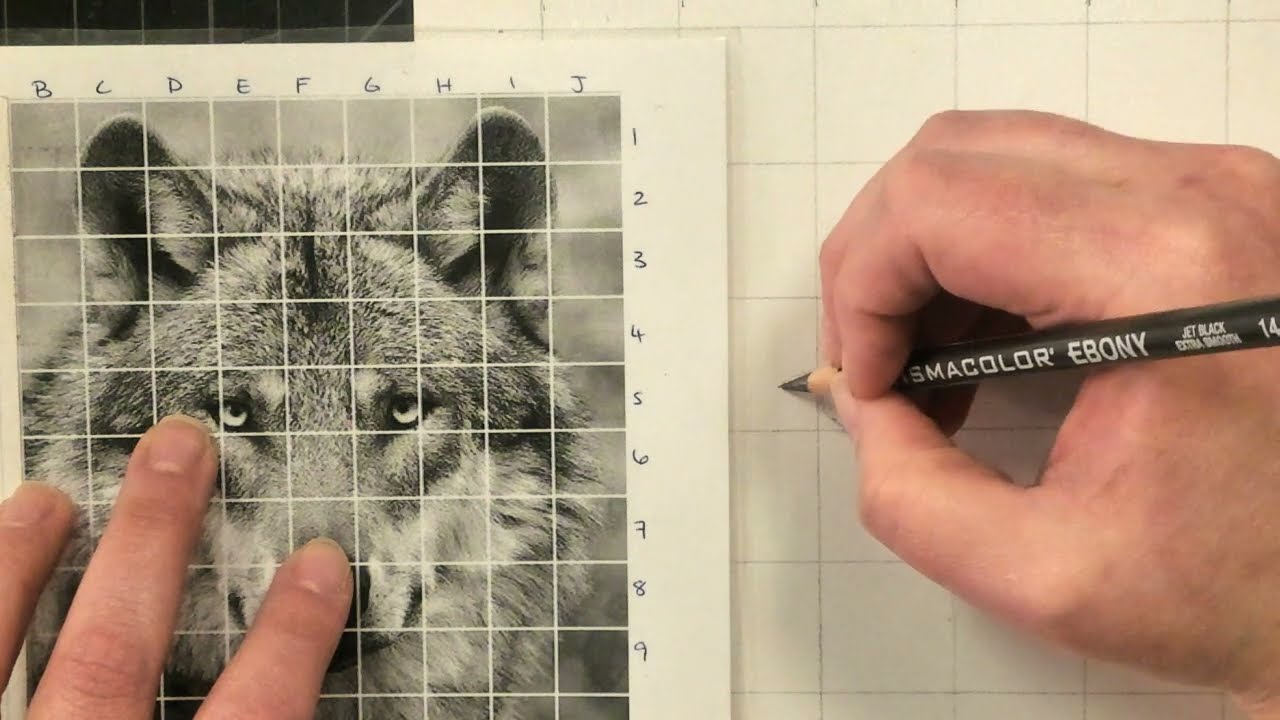 Wolf Grid Drawing