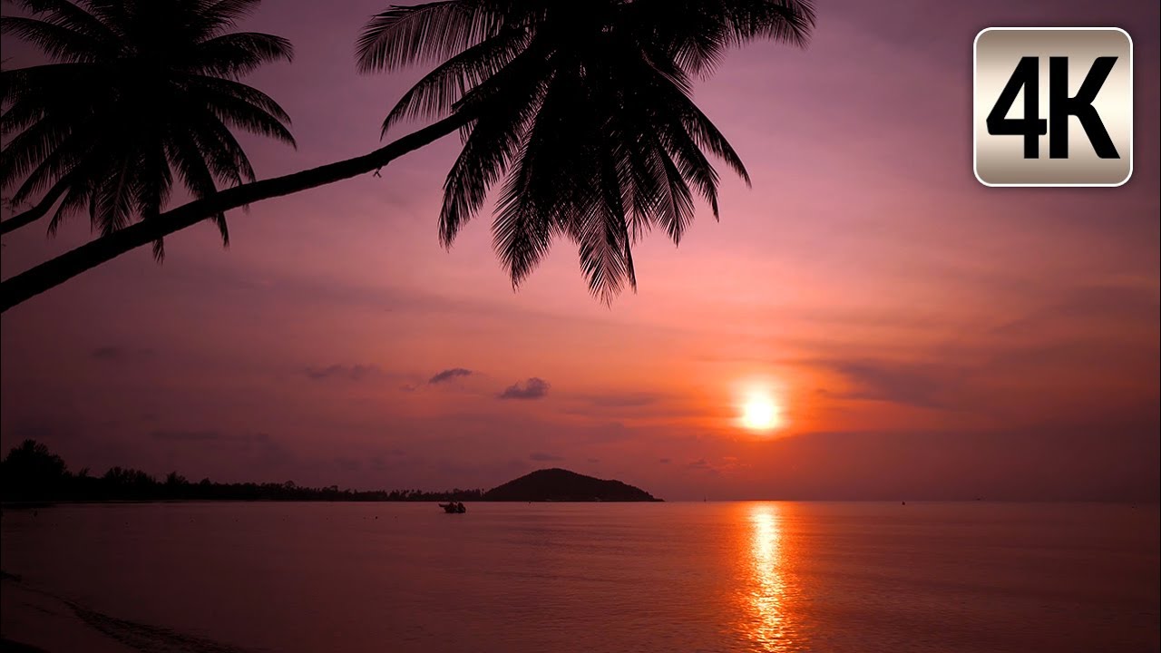Tropical Sunset (8 hours NO ADS DURING VIDEO) - A Soothing and Amazing White Noise Video