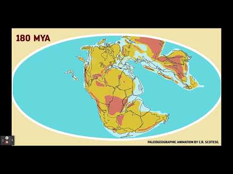 Plate Tectonics Chart Fossil Evidence