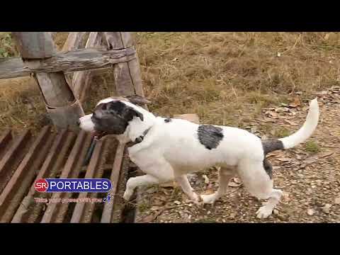 Solar Generator - Solar Power Generator Latest Price, Manufacturers ...