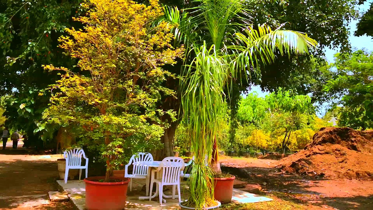Vivero Yautepec