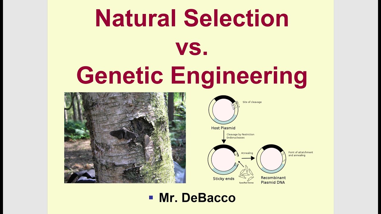 Natural Selection vs Genetic Engineering