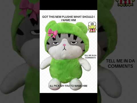 WHAT SHOULD I NAME MY NEW PLUSHieee🎀💚💞💖💗