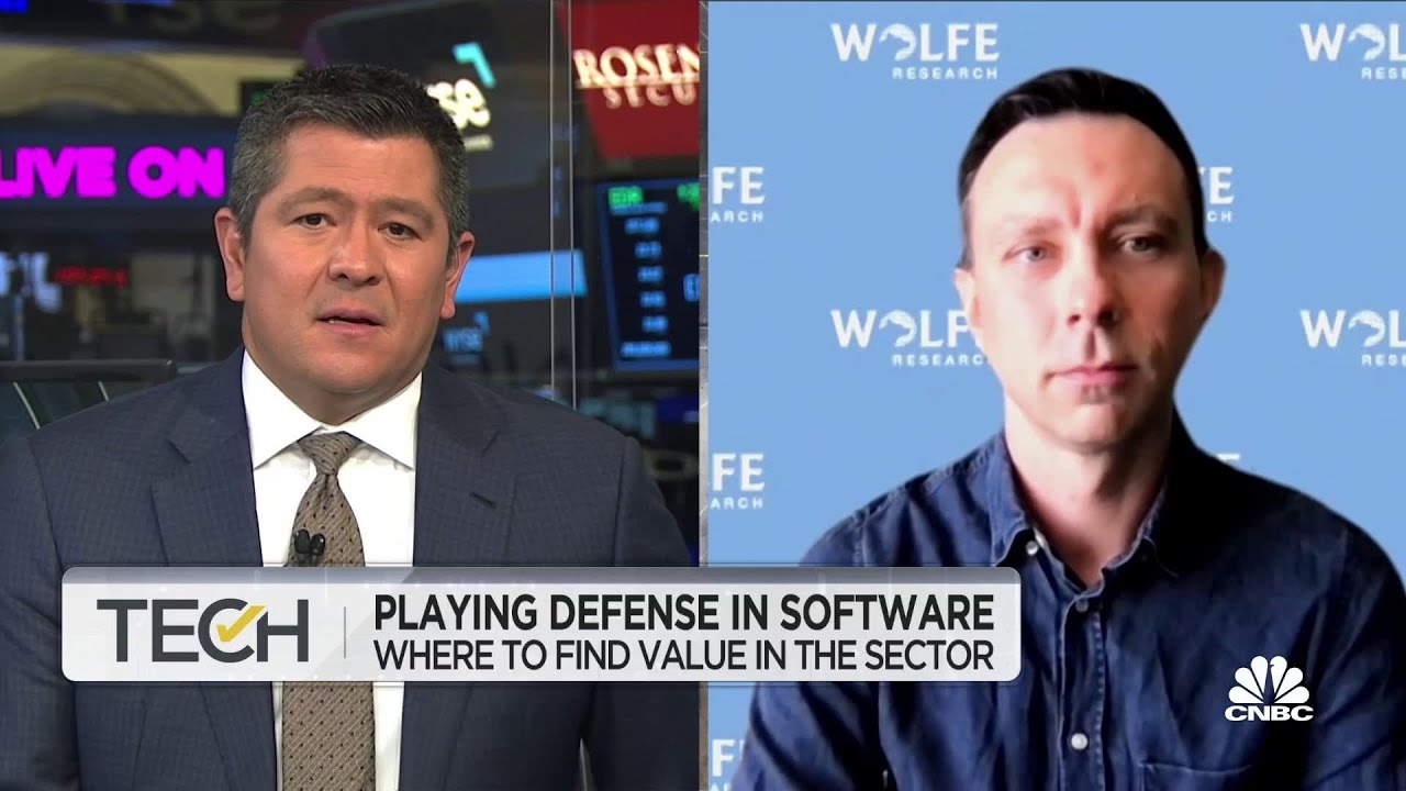 There's a ton of opportunity in the vertical software space, says Wolfe Research's Munda