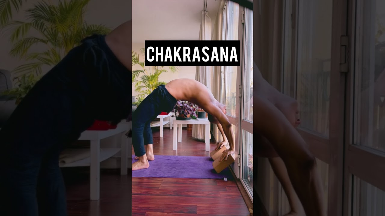 CHAKRASANA/ Urdhva Dhanurasana #shorts
