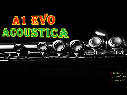 A1 Evo Acoustica
