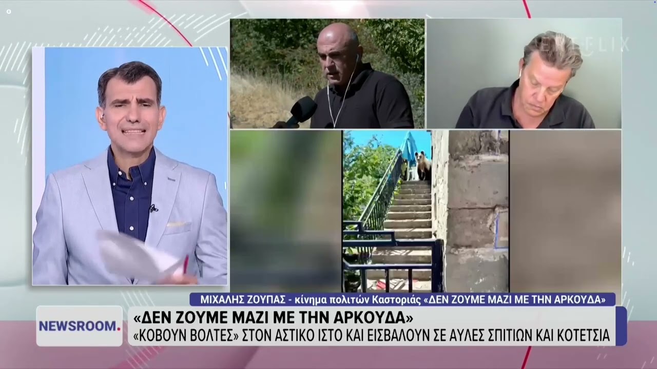 Η Αρκούδα «αποδομεί» τις λύσεις της «Καλλιστώ»: Μια αποκαλυπτική ...