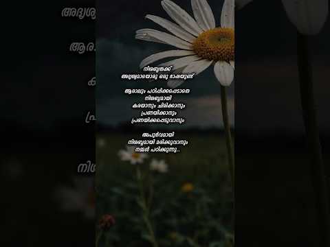 മൗനം. മരണം silence. new malayalam status. shorts. qoutes.