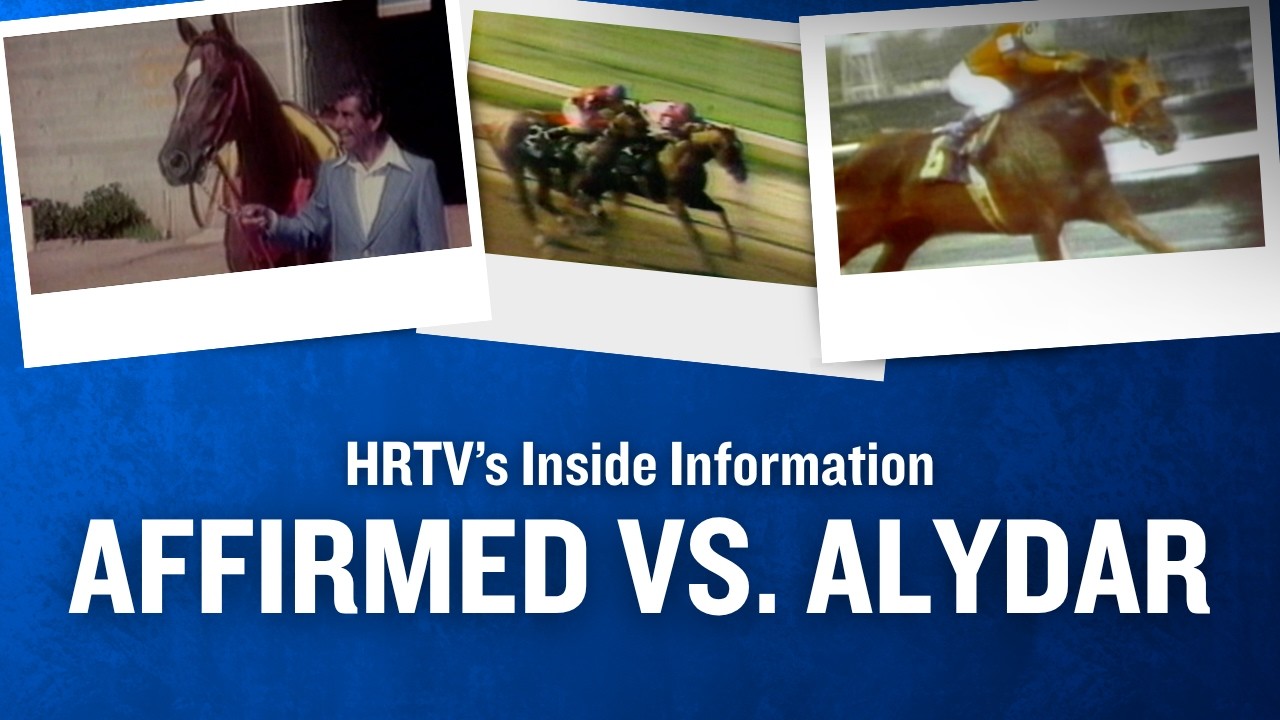 Inside Information: Affirmed vs. Alydar