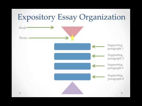Expository Essay Writing