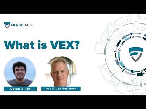 What is VEX?