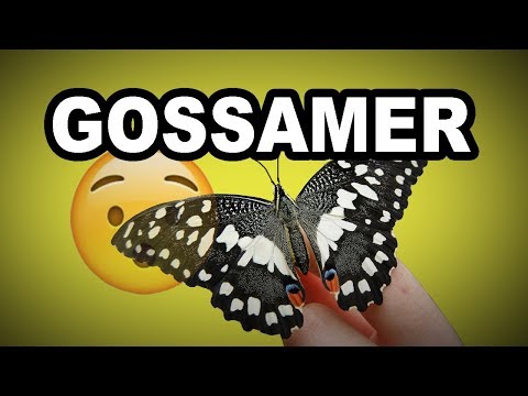 Learn English Words: GOSSAMER - Meaning, Vocabulary with Pictures and Examples