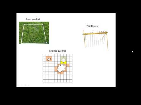 BTEC Applied Science: Unit 3 Biology Investigating Distribution